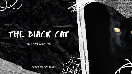 Poe Short Story Analysis: The Black Cat Character, Conflict, Socratic ...