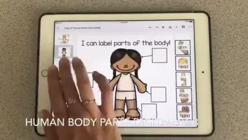 DIGITAL Adapted Work Binder ( Human Body Parts ) | Distance Learning