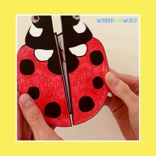 Life cycle of a ladybug insect foldable cut and paste sequencing activity