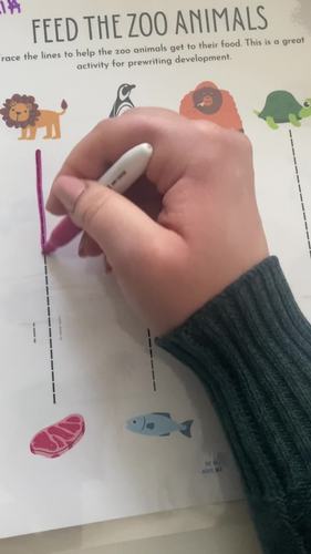 Prewriting Tracing Lines Tracing Sheets Zoo Animal Theme | OT | Preschool