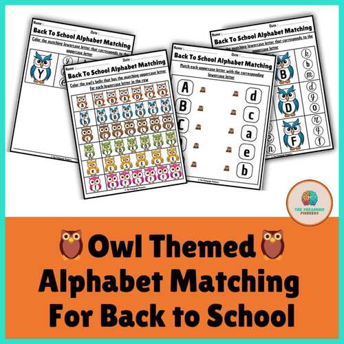 Colored Owl Themed Alphabet Matching | Back to School Owl Alphabet Matching