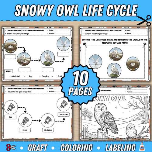Snowy Owl Life Cycle Craft and Labeling | Cut & Paste Science Activity ...