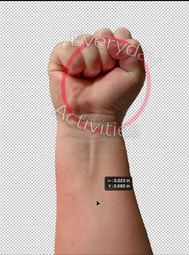 Stock Photo 3rd Grader Right Hand Making Fist Transparent Background