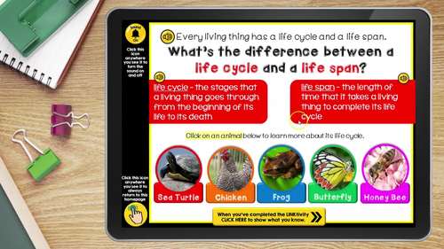 Animal Life Cycles LINKtivity® | Interactive Learning Guide | Distance ...