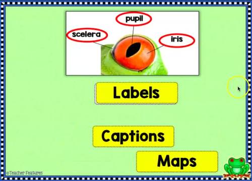 Nonfiction Text Features: Reading Comprehension Boom Cards™ 2nd 3rd ...