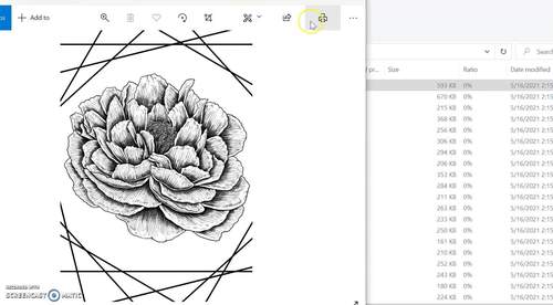 40 A4 Floral Flower Flora Mindfulness Colouring Worksheets by EmsAusTeach
