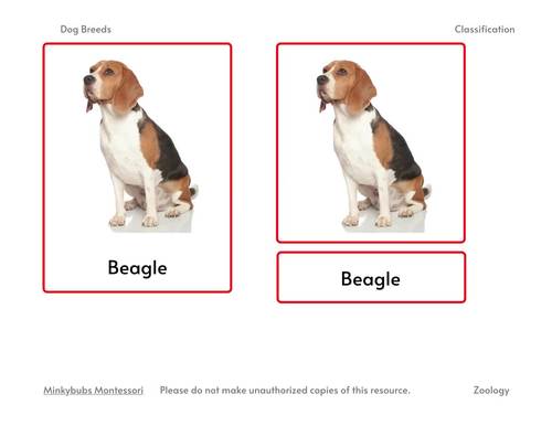 Dog Breeds 3 Part Cards Task Cards Match Identify Different Dogs