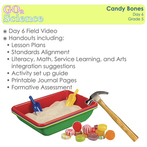 Mission Dinosaur Day 6 (Grade 5) by Go2Science | TPT