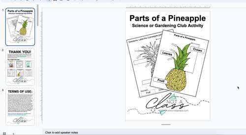 parts of a pineapple | BACK to SCHOOL | ESOL & IEP Friendly - Editable