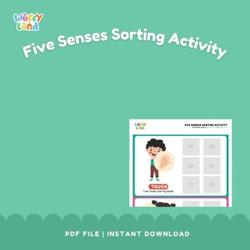 Five Sense Sort Activity - 5 Senses Activity All About Me by Wuffyland