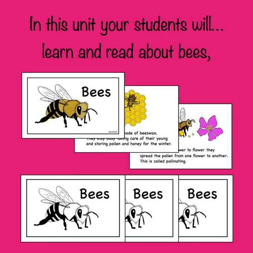 Bees - Nonfiction Writing Unit - for early writers and ESL students