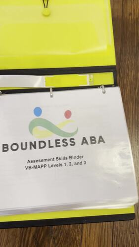 VB-MAPP Assessment Skills Binder by Boundless ABA | TPT