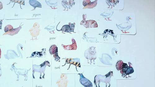 Farm Animals flashcards, Montessori 3 part cards by TikiTak DesignArt