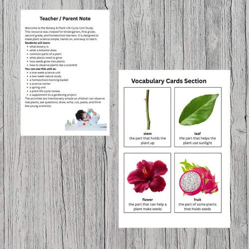Botany & Plant Life Cycle Unit Study | Plant Science Activities K-2