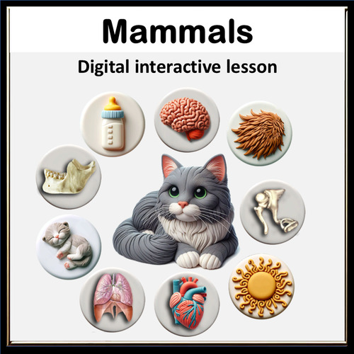 Mammals Interactive Digital Resource No Prep by Nature Online | TPT