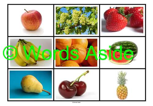 Vocabulary Photo Picture Flash Cards Preschool Autism SpEd ESL Fruits