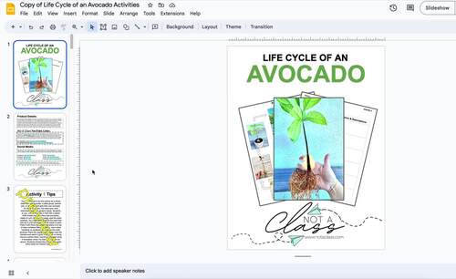 The Life Cycle of an Avocado Activities | Editable by Not A Class