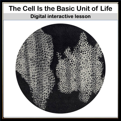Cell Theory: History, Structure & Function – Interactive Digital Lesson