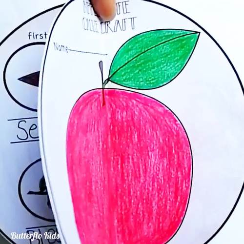 Apple Life Cycle Craft | Life Cycle of an Apple Cut and Paste Activity