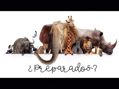 Viaje de fin de curso al zoo | Spanish Virtual Zoo Field Trip | Google ...