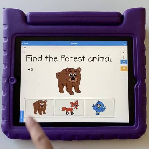 Forest Animals Boom™ Cards Activity by Full SPED Ahead -- Heather Cacioppo