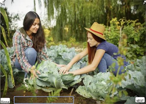 Inferences and Perspective-Taking Photographs Boom Cards™ SET #6 ...