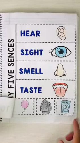 Science Interactive Notebook for Kindergarten | Science Printable ...