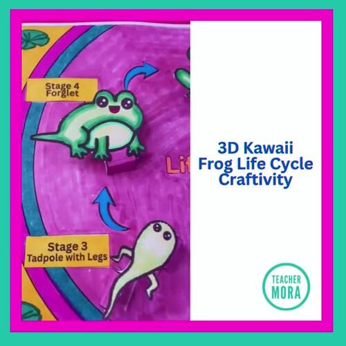 3D Kawaii Frog Life Cycle Craft Activity - Cut and Paste - Cute Frog