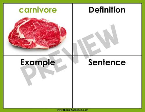 Forest Habitat Interactive Academic Vocabulary by Nicole and Eliceo