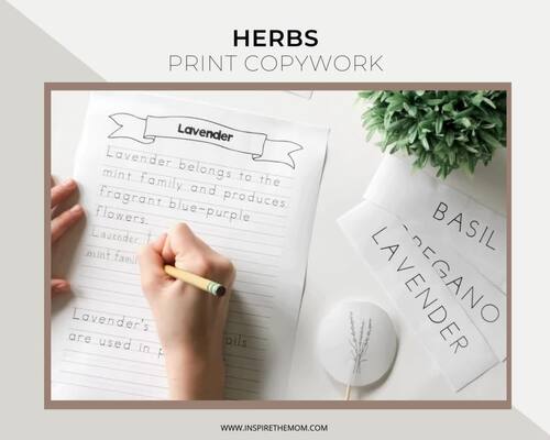 Herbs Print Copywork, Herb Facts, Print Handwriting Practice by Inspire ...