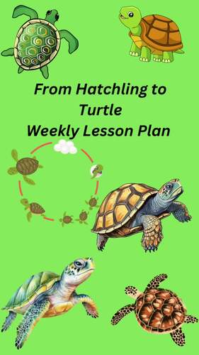 From Hatchling to Turtle: Preschool Weekly Lesson Plan | Turtles / Tortugas