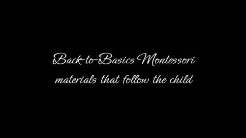 Phonics - Silent "e" Read & Spell by Back to Basics Montessori | TPT
