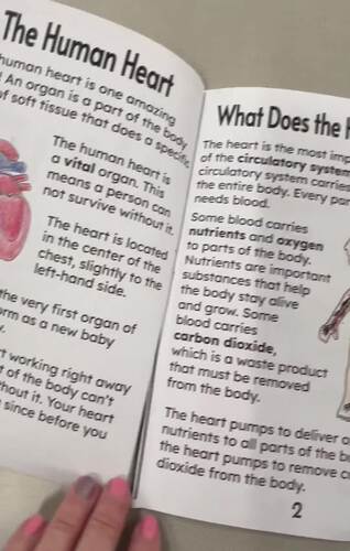 Human Heart Mini Book and Comprehension Activities by MadeByMissVicky