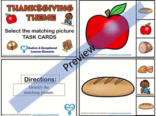 Thanksgiving Picture Matching Task Cards- Autism & SPED Resources