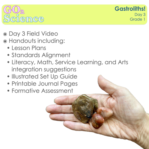 Mission Dinosaur Day 3 (Grade 1) by Go2Science | TPT