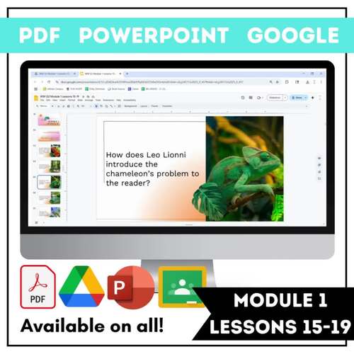 Wit & Wisdom Grade 2 Module 1 Lessons 15-19: EDITABLE Lesson Slides ...