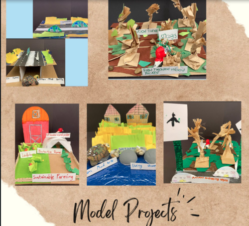 Endangered Animal Project by Nicole De Nino | TPT