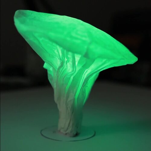 Hands-On Electronics: Color Changing Mushrooms by VoltPaperScissors