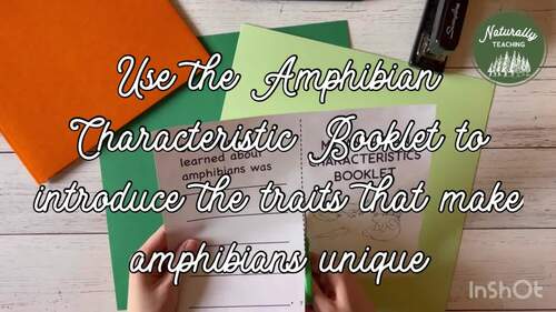 Amphibian Characteristic Booklet by Naturally Teaching | TPT