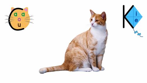 Cat Kite Rule Interactive Picture Sort, 1st Grade Cat Kite Spelling ...