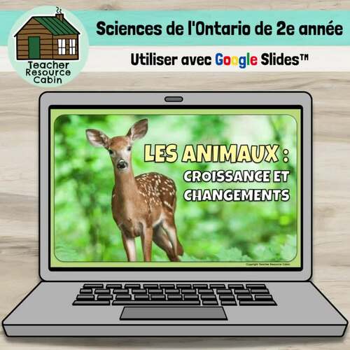 Grade 2 Ontario FRENCH Science for Google Slides™ by Teacher Resource Cabin