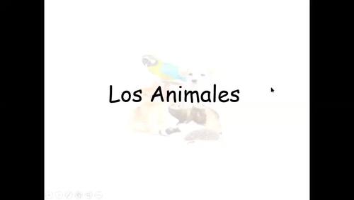 Spanish Animals Video Note Bundle by Sr and Monsieur Schepeez | TPT