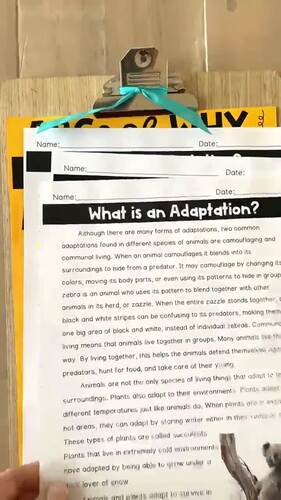 Animal Adaptations Worksheets Reading Passages Nonfiction Response Sheet