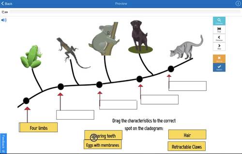 Classification of Living Organisms Boom Cards- Digital Interactive Task ...