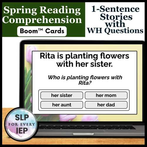 Spring 1-sentence Reading Comprehension Stories with WH Questions-Boom ...