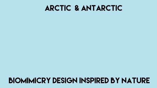 Inspiring Arctic and Antarctic Activities | Engaging Biomimicry Design ...