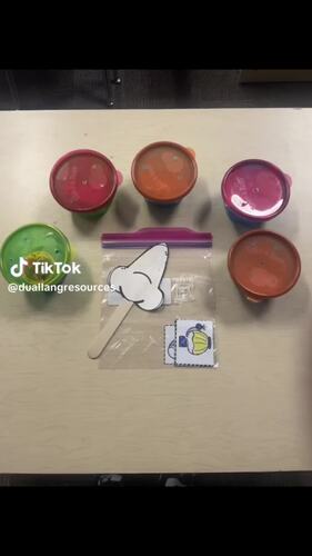 Spanish 5 Senses Activities & Crafts by Dual Language Resources | TPT