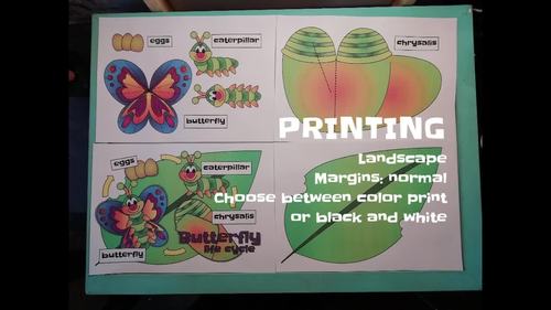 Butterfly life cycle - poster and craft by Surfer Kids Clip Art | TPT