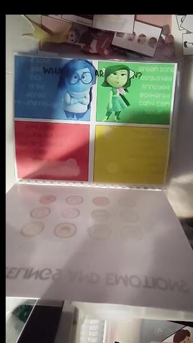 Printable Feelings/Emotions Flip Book by Ellia's Education | TPT