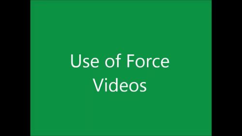 Ethics & Excessive Force Video Analysis for POL | TPT